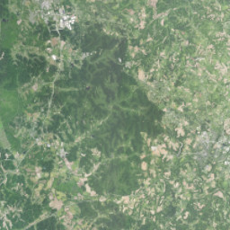 ArcGIS Web Application