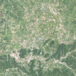 ArcGIS Web Application